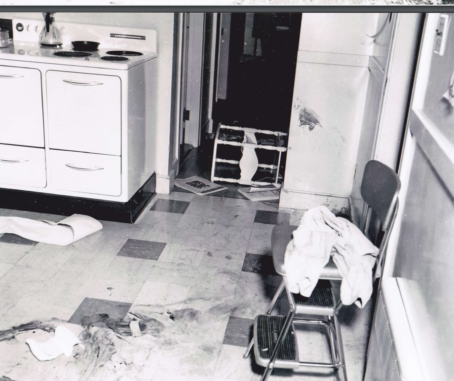 Joan Risch – I Can't Believe It's NonFiction