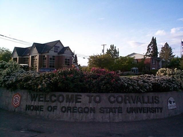 Treva Throneberry, part 1 – I Can't Believe It's NonFiction