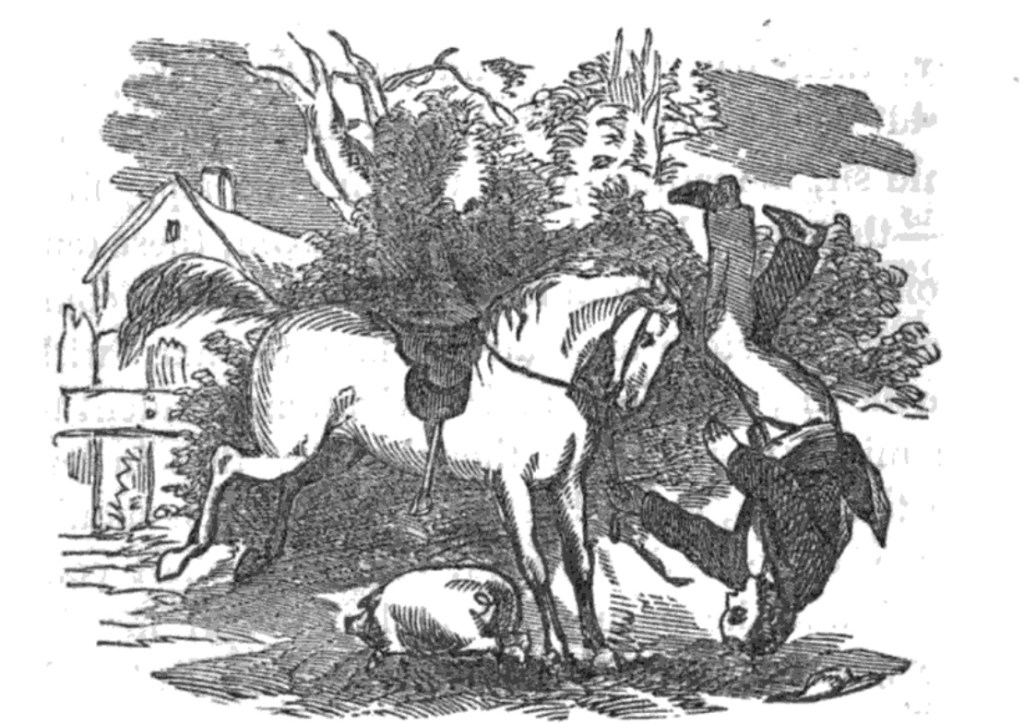 Leonard Trask – I Can't Believe It's NonFiction